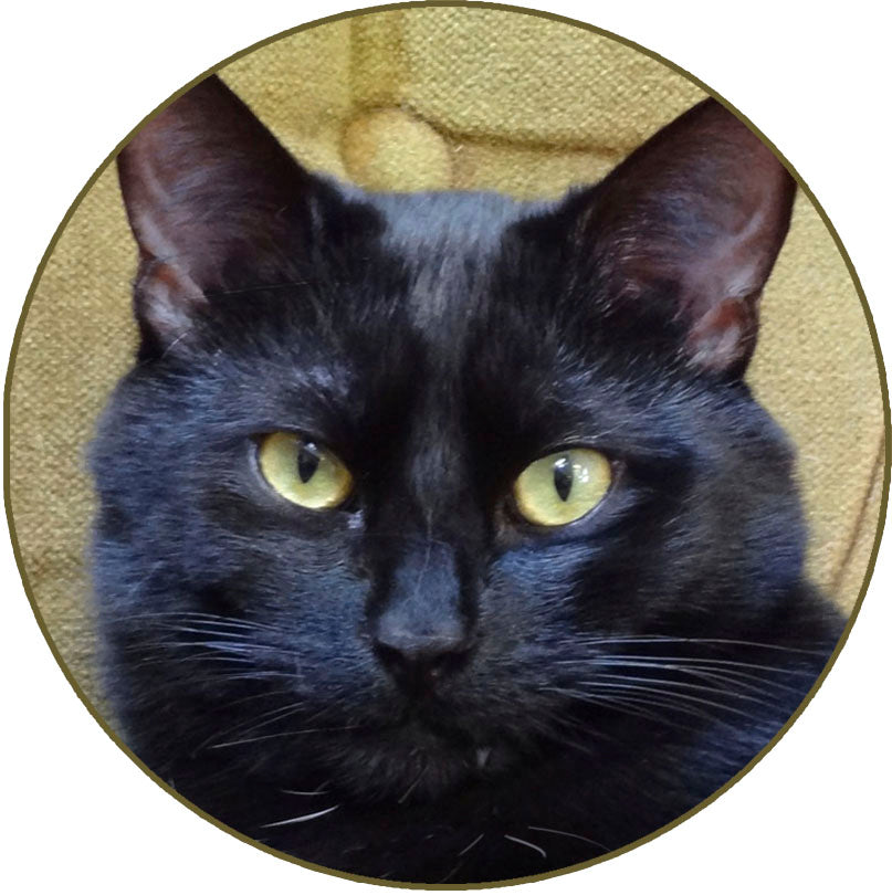 About – jeffhaynieart